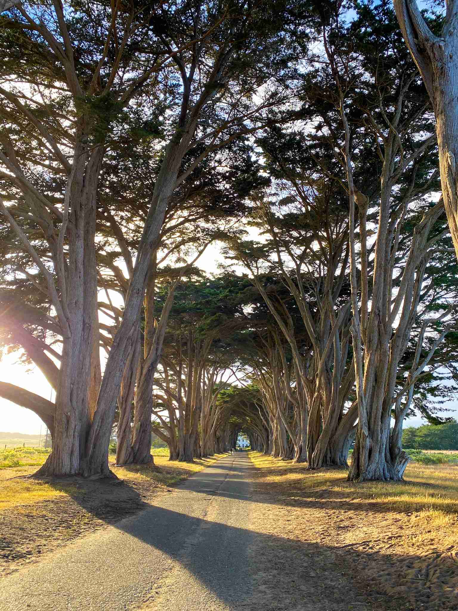 7 Awesome Things to Do in Point Reyes - Ready, Set, PTO