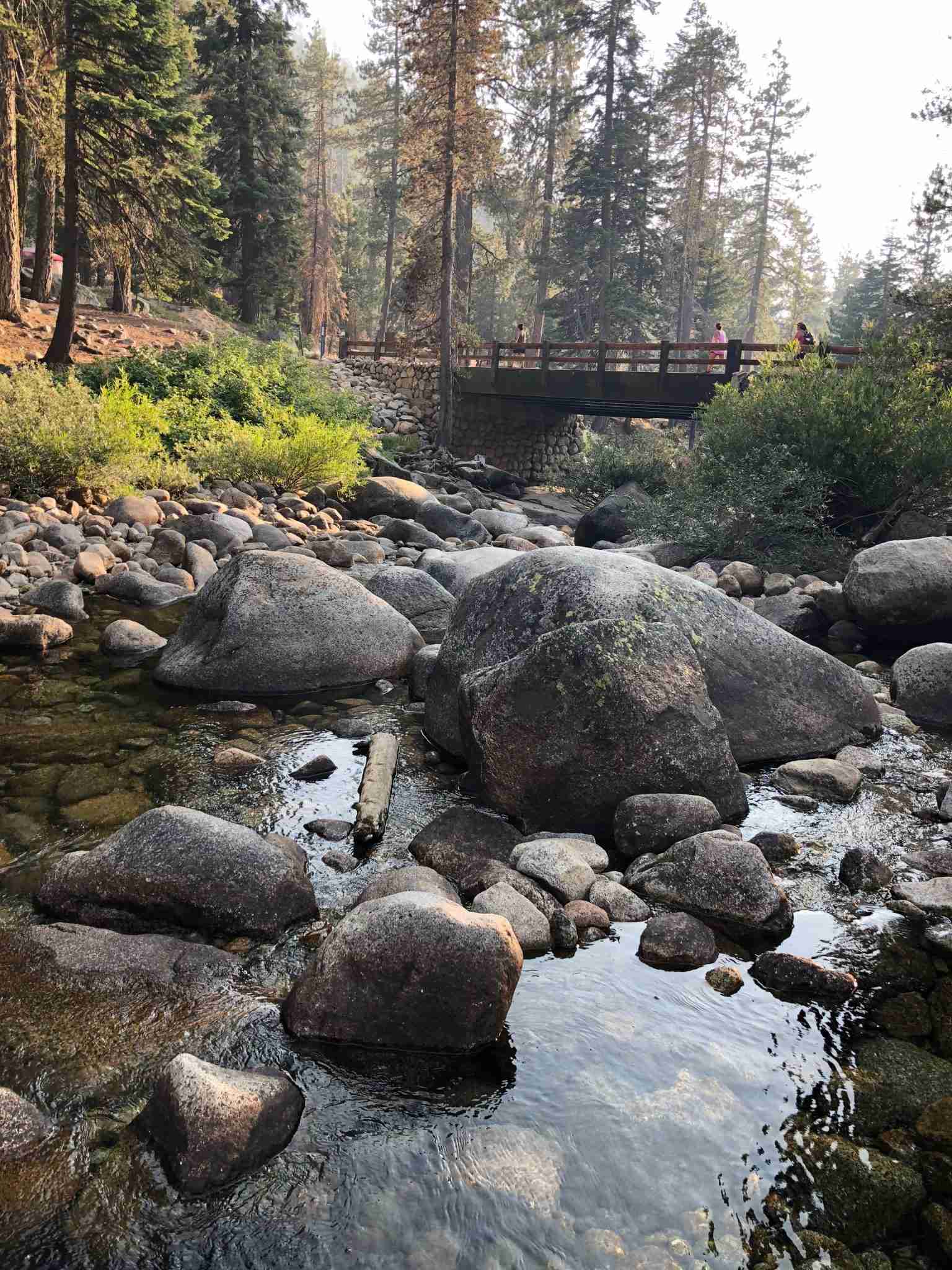 The Best Sequoia National Park Itinerary - Ready, Set, PTO
